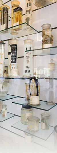 Nieuws - Gymnasium Haganum